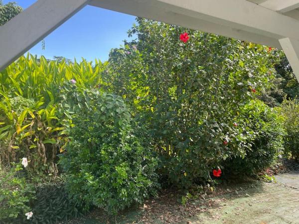 Bungalow 2 Personnes Petit Bourg " La Bergetterie" - Guadalupe