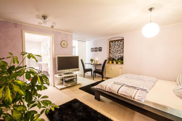 Idyllische Ferienwohnung Am Pillnitzer Schlosspark - Dresde