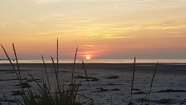 Bønnerup Strand - Denmark