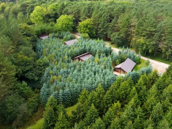 Delamere Forest Cabins - Forest Holidays - North Wales