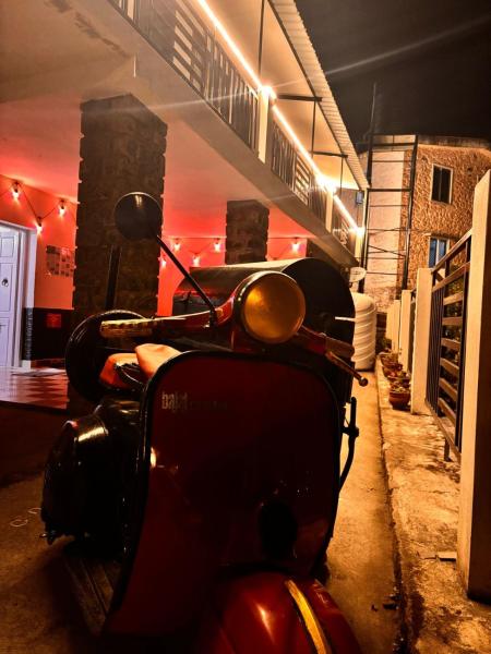 Blooming Nights With Begonia - Kodaikanal