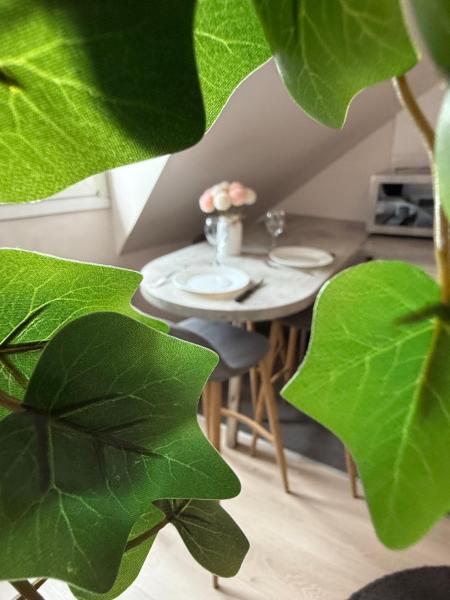 Appartement Strasbourg Centre - Straatsburg