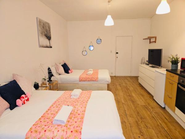 Lovely Studio Flat In Central London - London Euston station