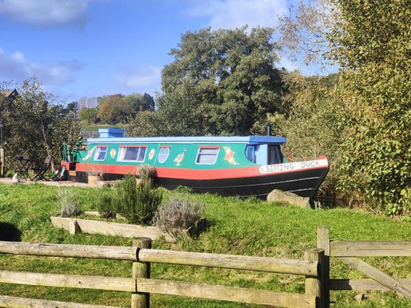 The Sitting Duck - Worcestershire