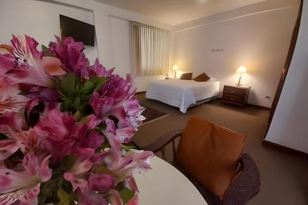 Suite Ejecutiva En "Ayacucho", Ideal Para Trabajo - Ayacucho