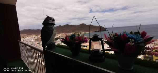 Wind Rose Duplex - Fuerteventura