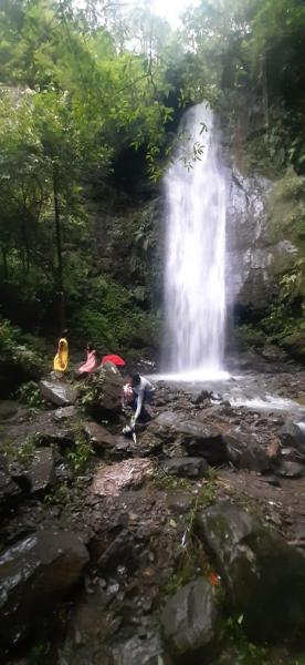 Pine Hills Nature Camp - Shimla