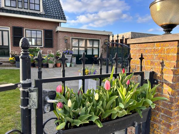 Flowerbed - Haarlem