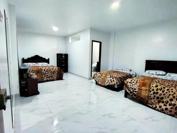 Cuarto En Galápagos - Galápagos Islands