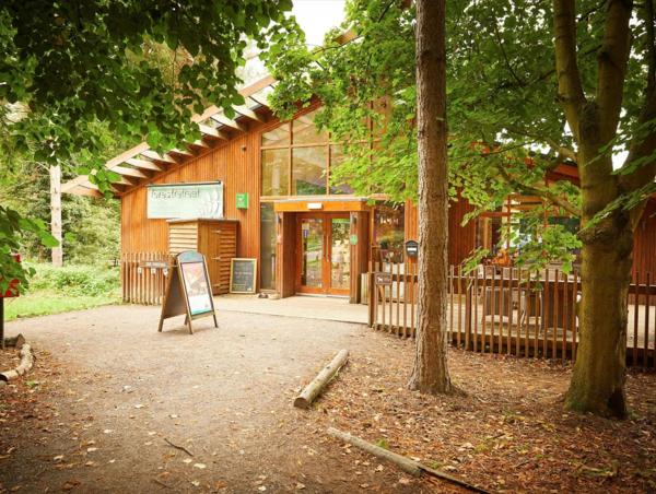 Thorpe Forest Cabins - Forest Holidays - Suffolk