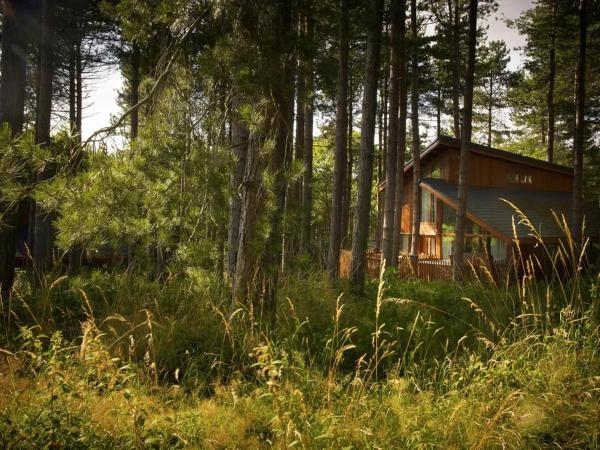 Thorpe Forest Cabins - Forest Holidays - Suffolk
