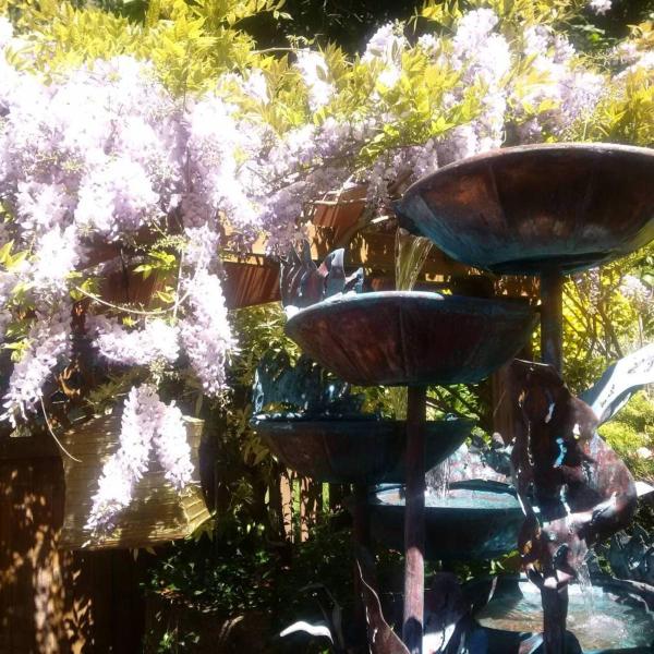 Simply Suite - Sua Casa Longe De Casa - San Juan Islands, WA