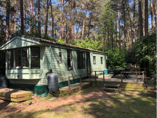 Scenic Chalet In Antwerp Tranquil Forest - Malle