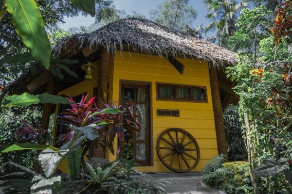 Forest Camp - Bacong