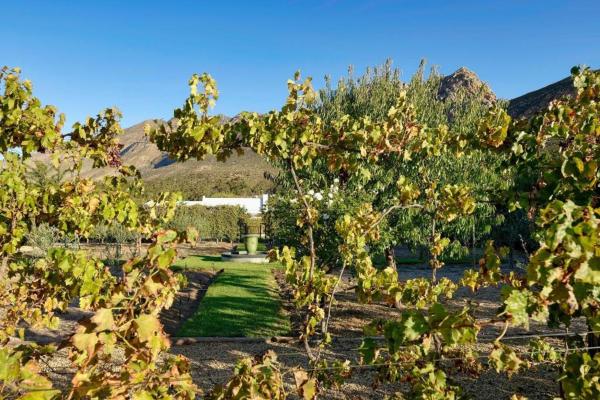Great Heart Farm - Montagu