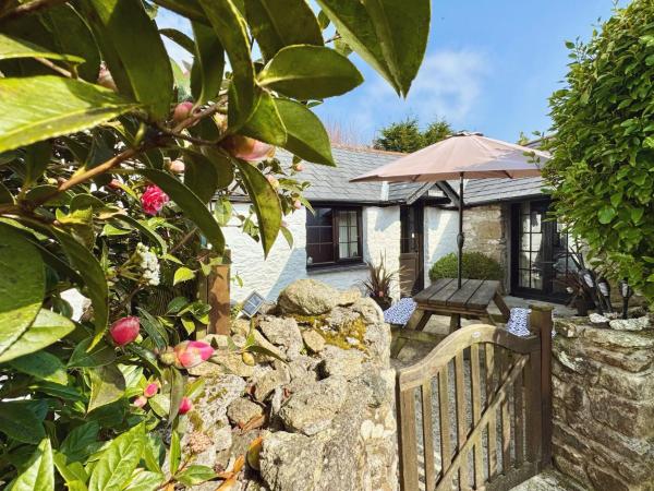 Hallagenna Cottages - Bodmin