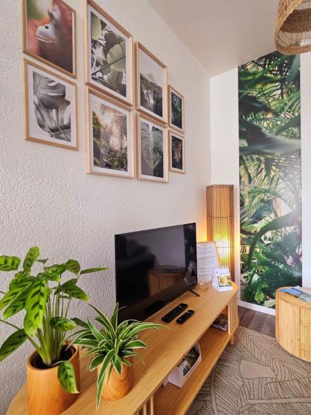 Gîte "Bornéo", Avec Parking Securisé - La Roche-sur-Yon