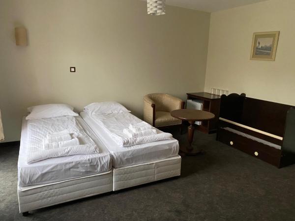 Hotel Domenic Free Parking - Plovdiv