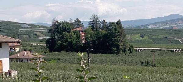 Villa Rosa Since 1914, Brenta Dolomite - Cles
