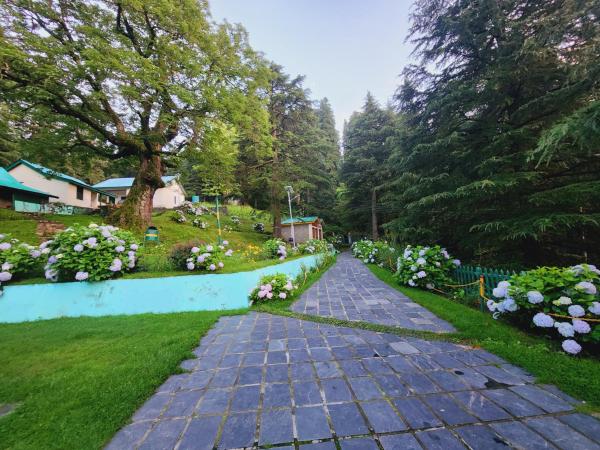 Smarthill Kalatop,dalhousie - Khajjiar