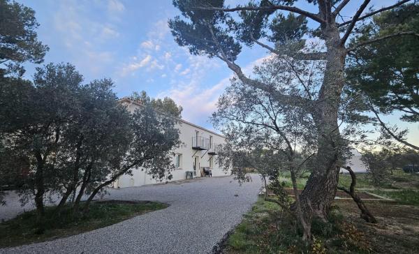 Au Coeur Des Oliviers En Provence - Pélissanne