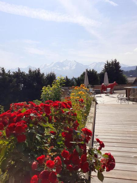 Chalet Les Rhodos - Mont-Saxonnex