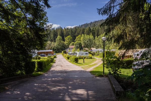 Camping Les Granges Bas - Tiny House - Lodges - Mobilhomes - Gérardmer