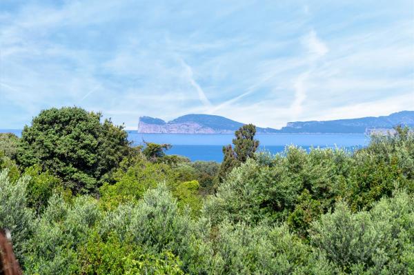 Clicksardegna Villa Giulietta With Large Garden And Guesthouse - Alghero