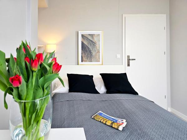 Visit Baltic - Platan Tower Grey - Świnoujście