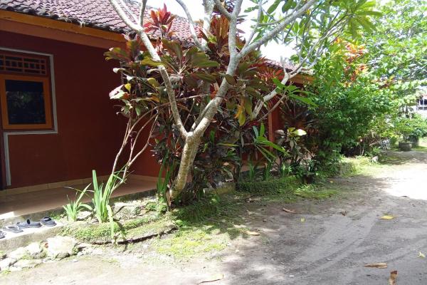Spot On 93640 Dannis Homestay Near Musholla Al Istiqomah Terawangan - Lombok