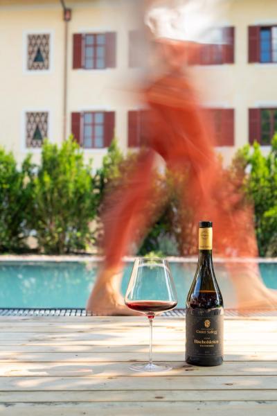 Castel Sallegg Suites - Coredo