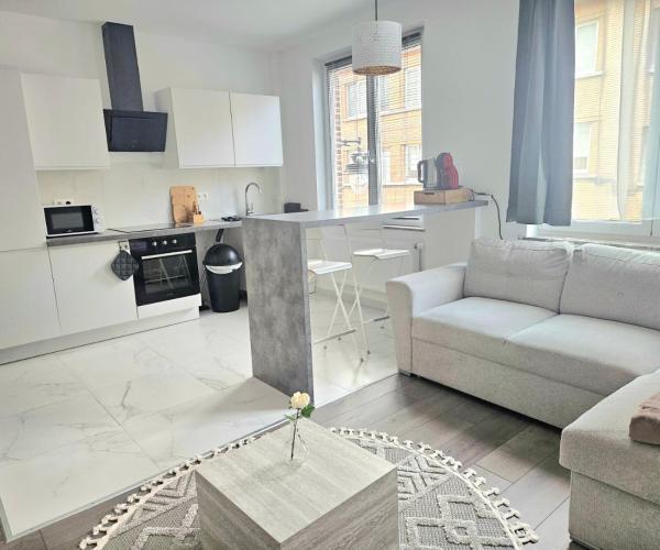 Brussels Apartment With Terrace 1 - Uccle