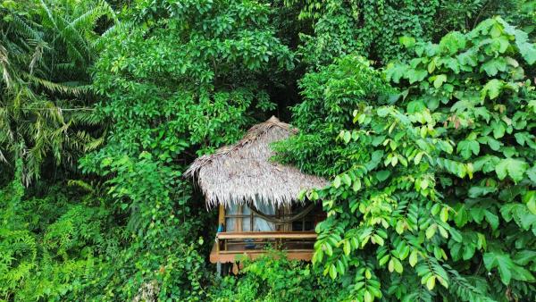 Thejungleguide - Lodges & Treks - Aceh