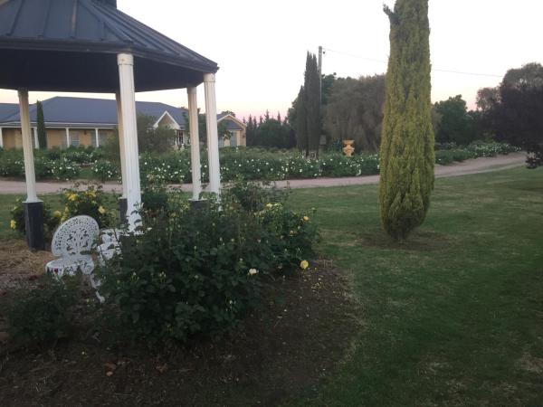 Villa Rose - Griffith