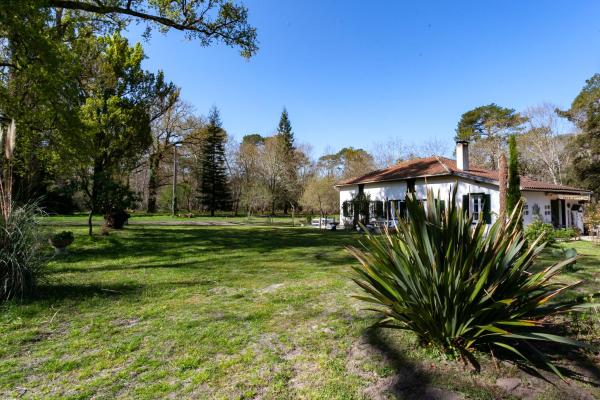 Domaine Forestier Darricau Au Bord Du Lac, 12 Min De L'océan - Mimizan