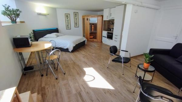 Studio 40 M2 Avec Sauna Proche De Strasbourg - Hôpital de Hautepierre