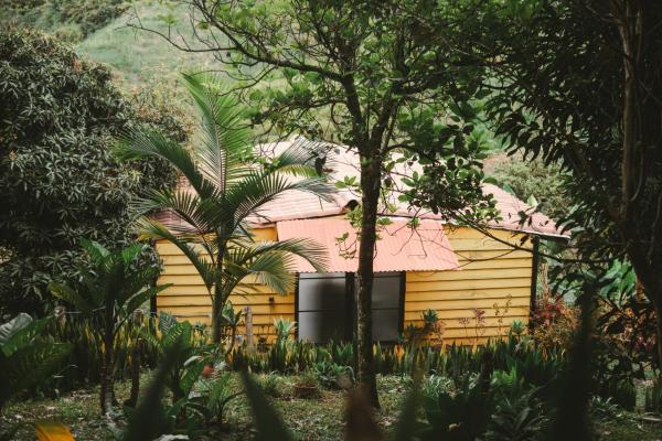 Cabaña Entre Las Montañas Tierra Mia - Eje Cafetero - Tolima