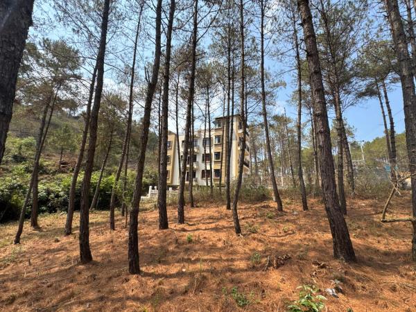 Xtsy Travellers Hostel - Shillong