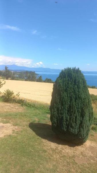 Grandioso Alojamiento En El Sur Cercano A Osorno Y Valdivia - La Unión, Chile