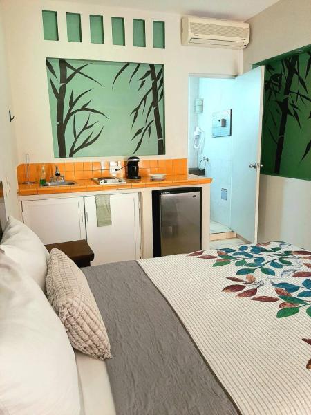 Terraza Studios Apartment - 카보산루카스