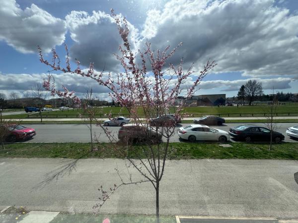 Sweet Home 2 Bedroom Suite - Langley