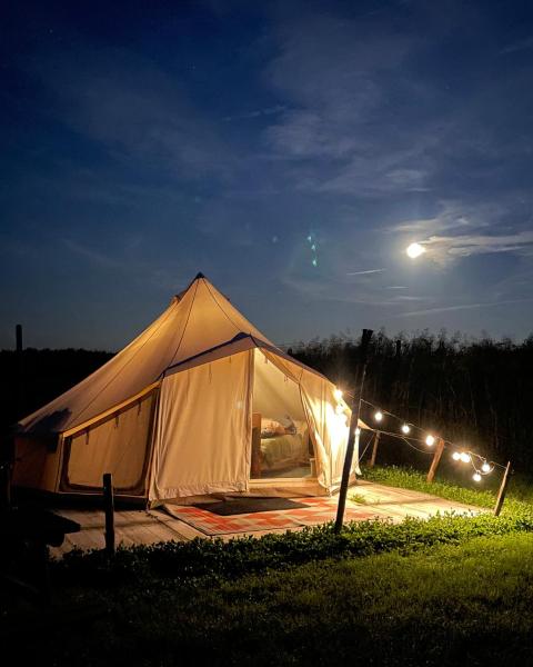 Voedselbos Camping Koperwiek - Alphen aan den Rijn