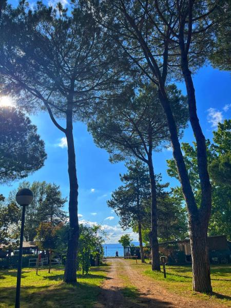 Camping Amalasunta - Bolsena