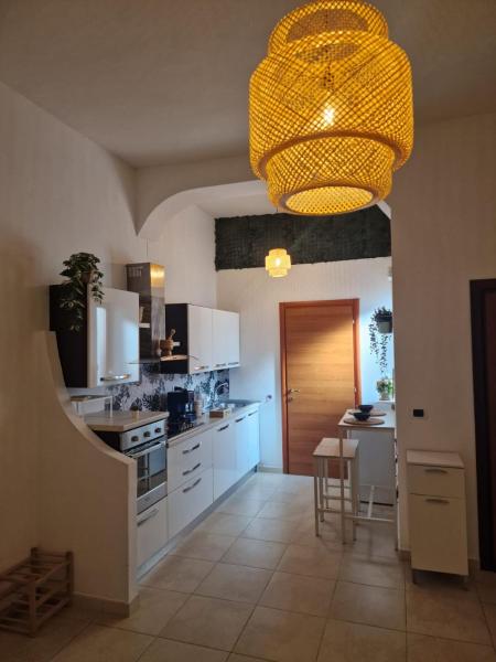 Green Butterfly - Bari