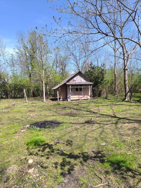 Lemon Tree Camp - Georgien