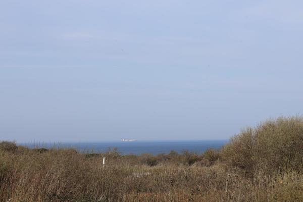 Les 4 Oies - Wimereux - Wimereux