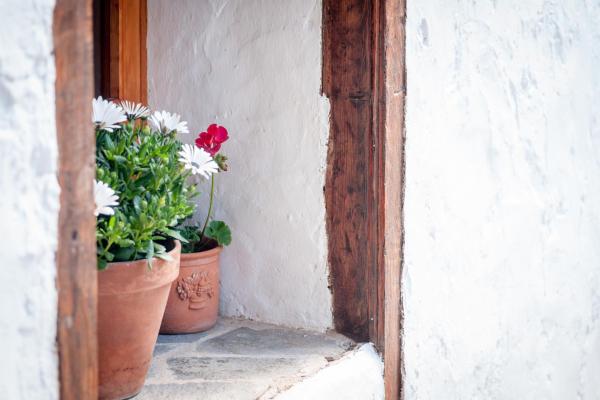 Ecoverode Hotel Emblemático Vegetariano Vegano - Los Cristianos