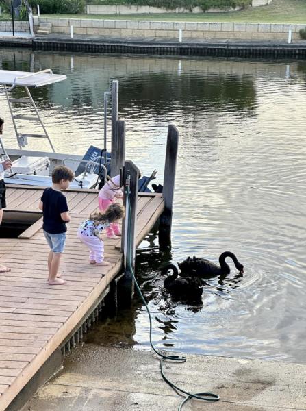 Murray River Family Retreat-spa- Jetty - Pinjarra