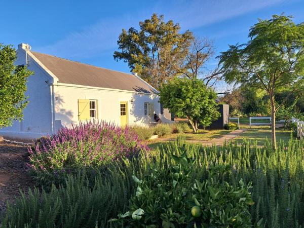 Moira's Cottage - Calitzdorp