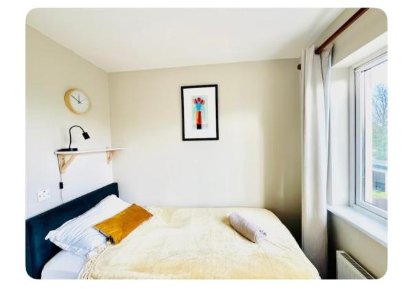 Single Room In Family Home - Limerick City